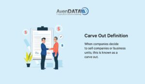 Carve-Out: The Complete Guide 2024